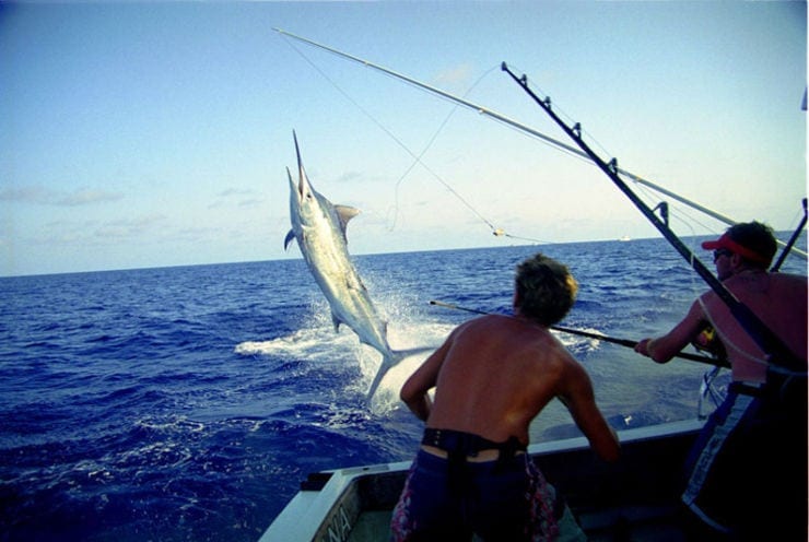 Deep Sea Fishing in Guanacaste, Costa Rica - The Ultimate Offshore ...
